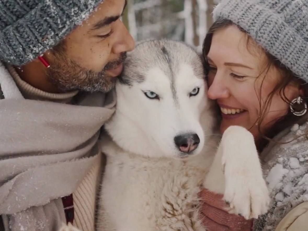 Mark Davies Transformations | Blog | Living with your Wolves